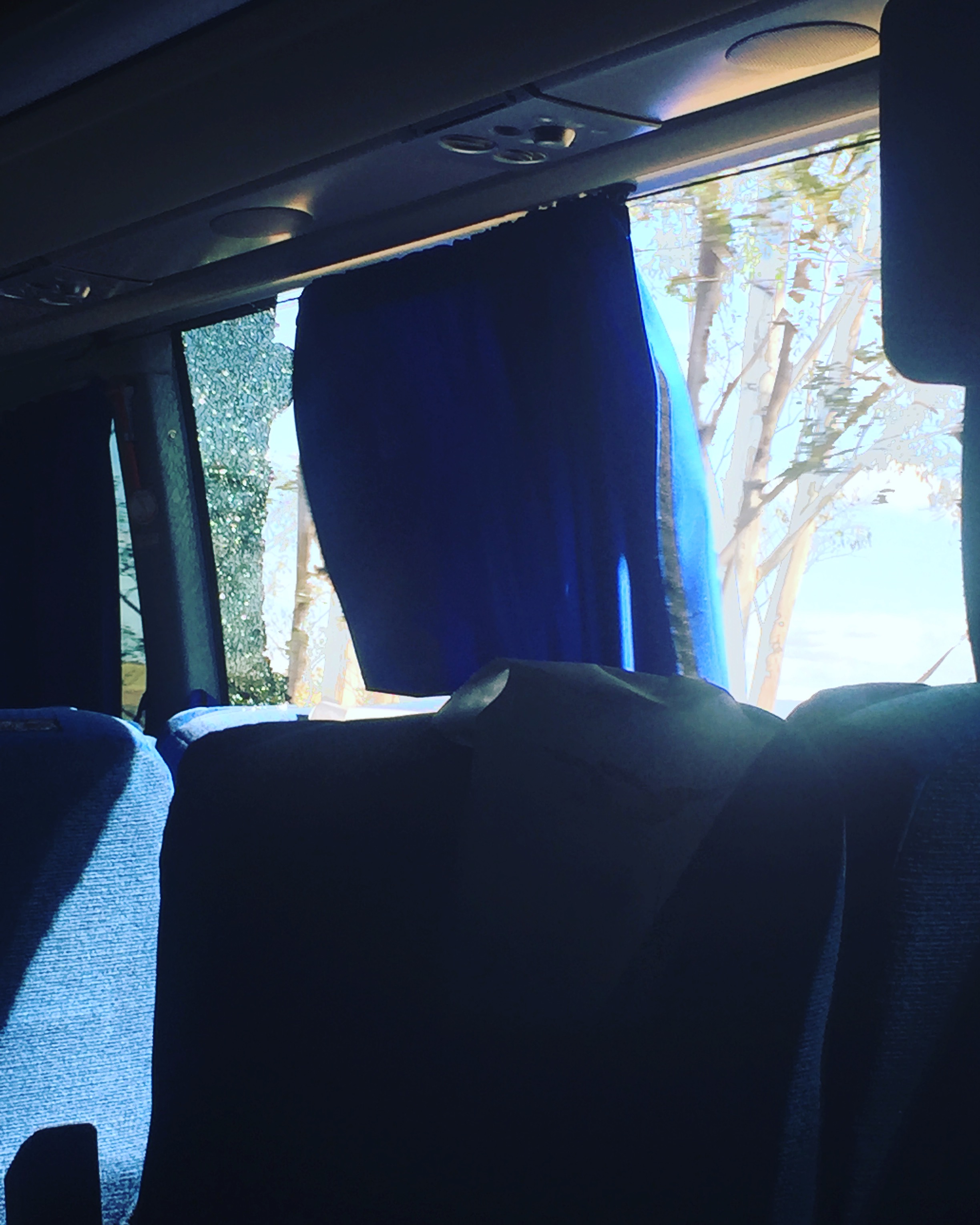 Trump and Tlayudas – Where is Lydia?